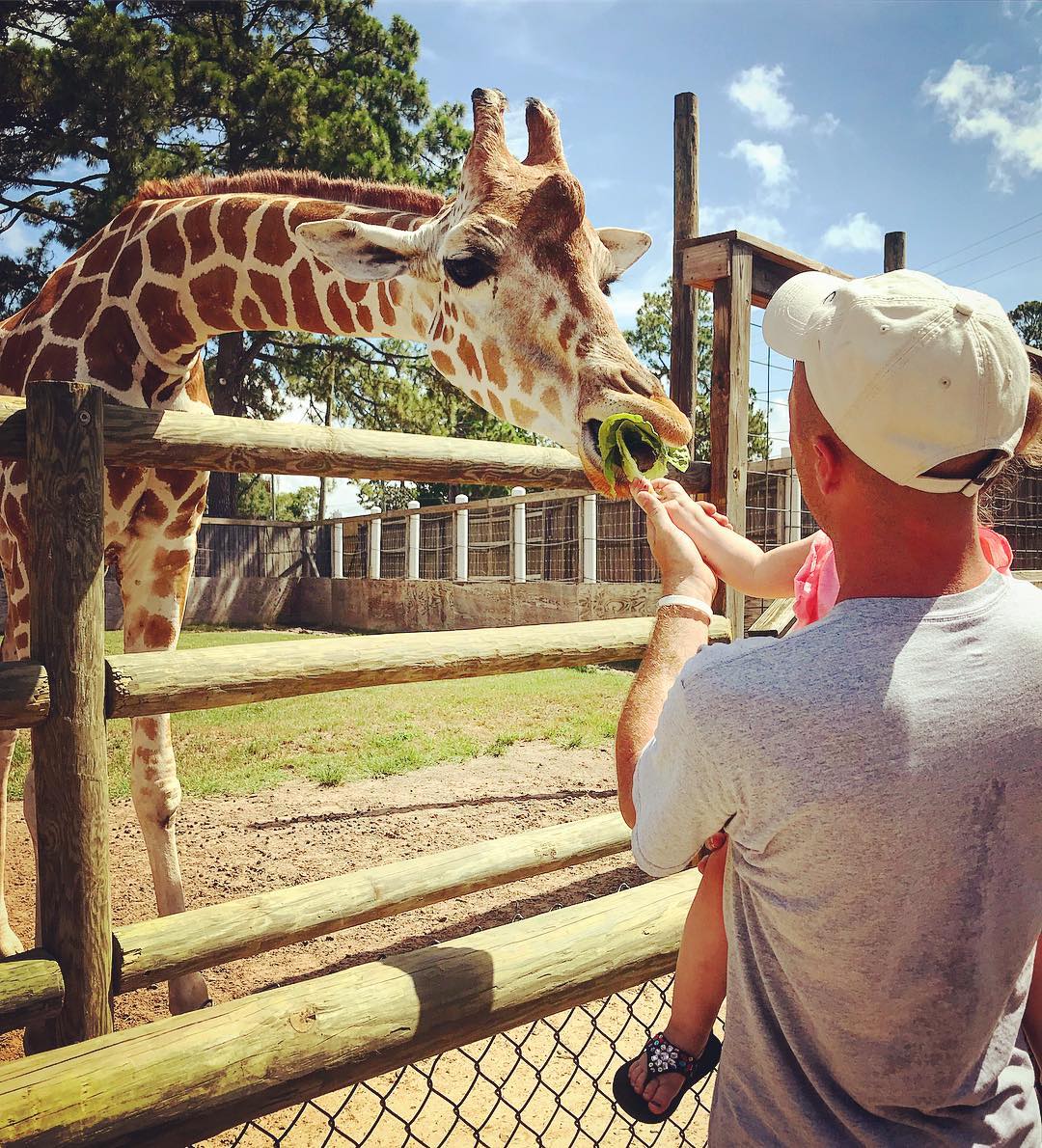 Unbiased Review of Zooworld in Panama City Beach