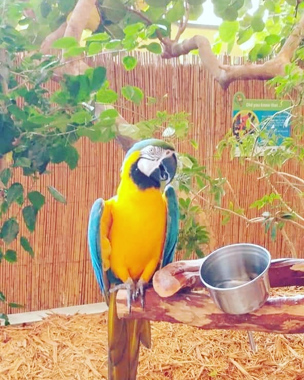 Unbiased Review of Gulf World Marine Park in Panama City Beach