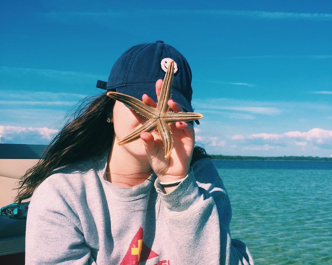 Expert Review of Shell Island Near Panama City Beach