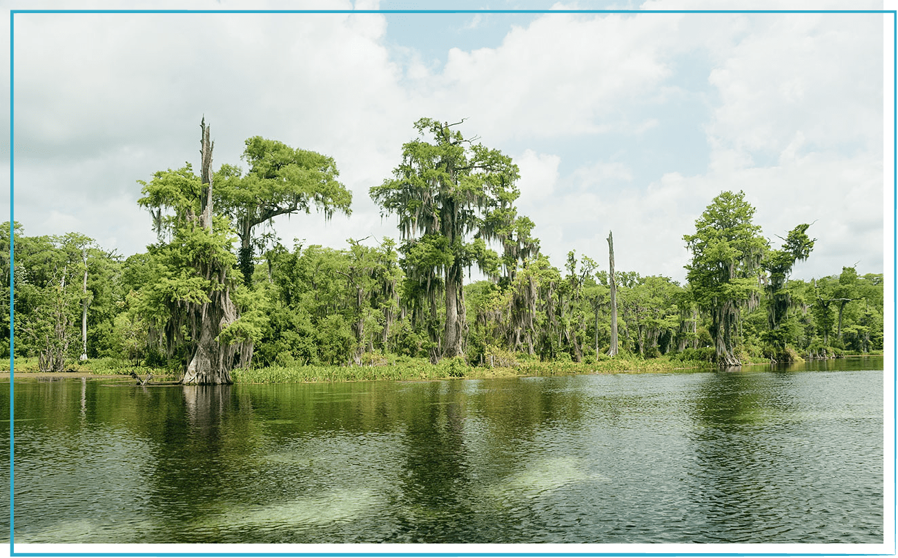 45 Florida Springs by Region and What They're Known For