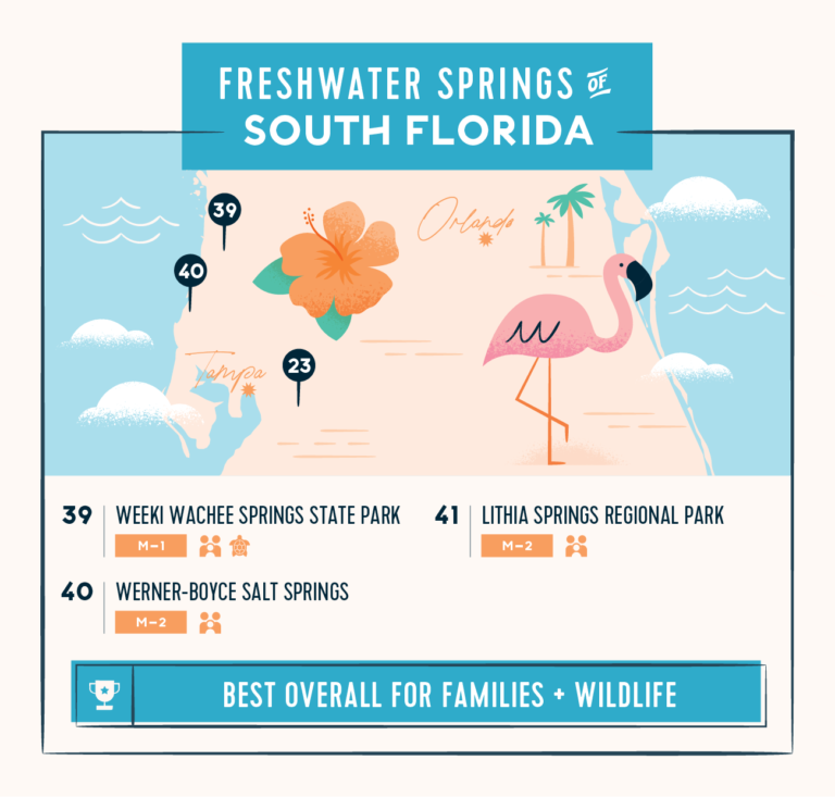 45 Florida Springs by Region and What They're Known For