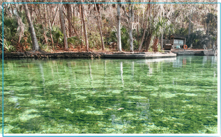 45 Florida Springs by Region and What They're Known For