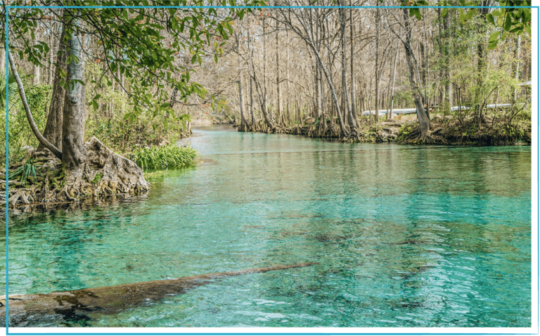 45 Florida Springs by Region and What They're Known For