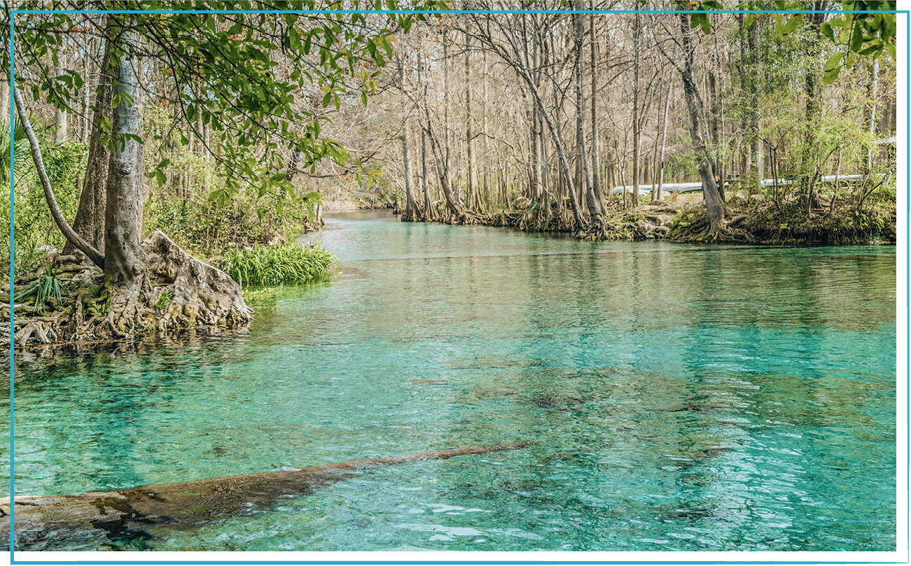 45 Florida Springs by Region and What They're Known For