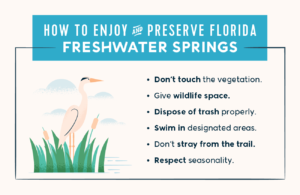 45 Florida Springs by Region and What They're Known For