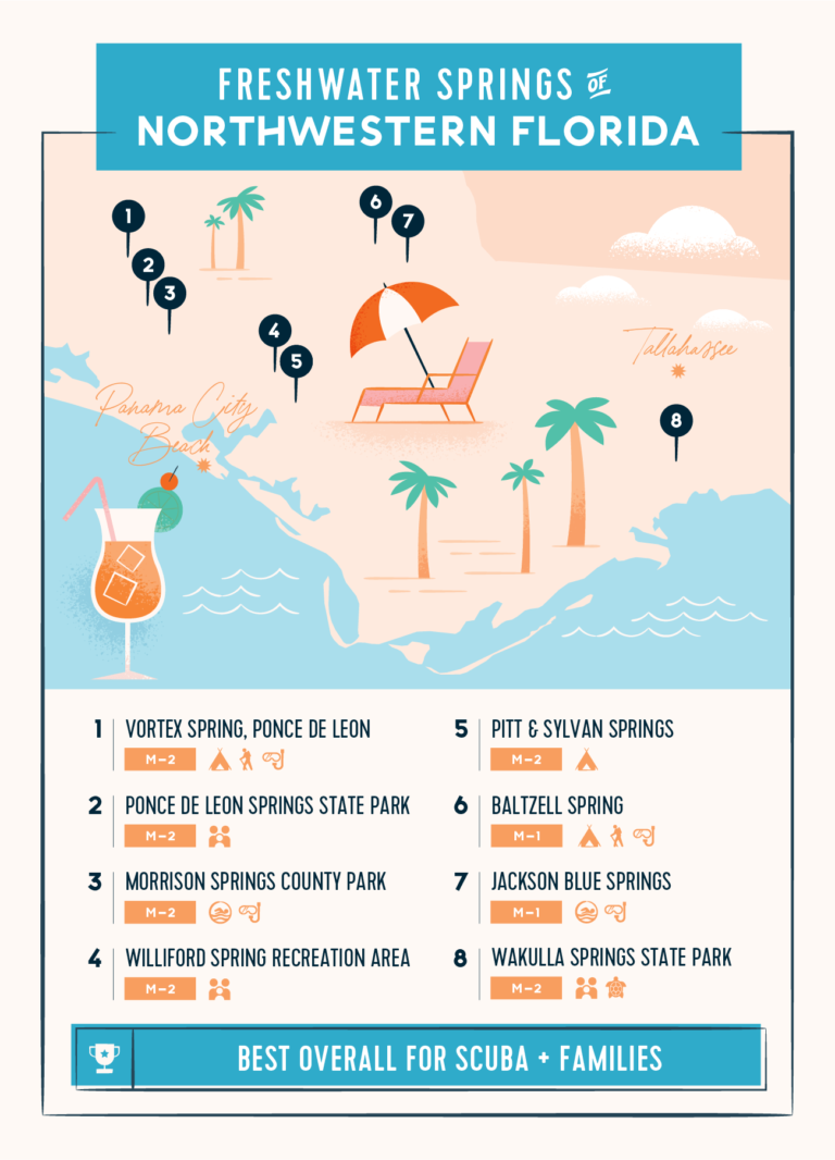 45 Florida Springs by Region and What They're Known For
