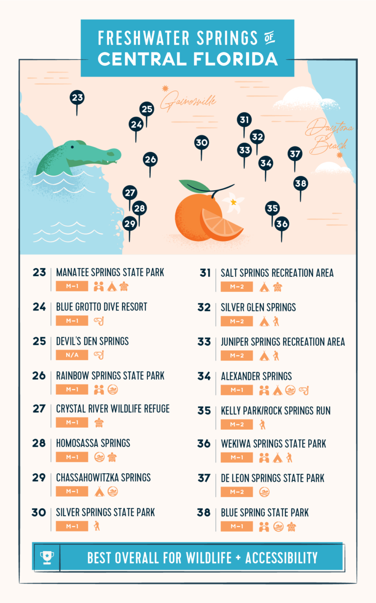 45 Florida Springs by Region and What They're Known For