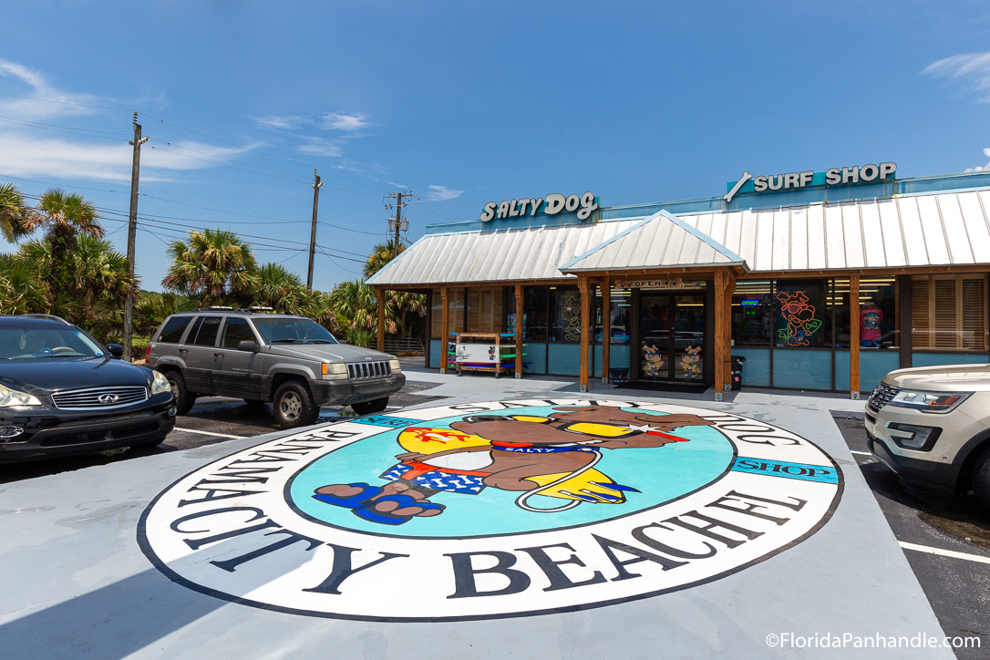 Local Insider Review Of Salty Dog Surf Shop In PCB