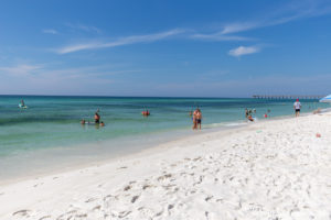 Winter Shelling in Pensacola: How to Find the Best Seashells