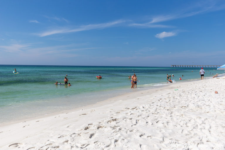 Winter Shelling in Pensacola: How to Find the Best Seashells