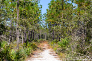 Five Incredible Hikes Around Panama City Beach, Florida