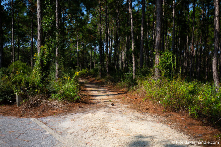 The 7 Best Bike Trails in 30A - FloridaPanhandle.com