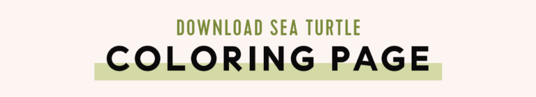Guide to Sea Turtle Nesting Season + Free Printables