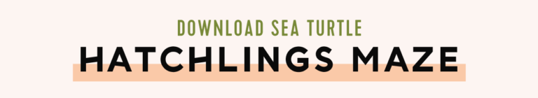 Guide to Sea Turtle Nesting Season + Free Printables