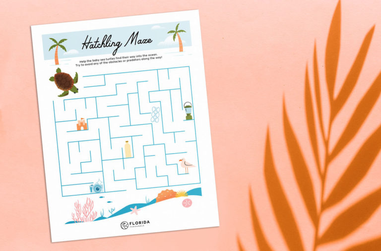Guide to Sea Turtle Nesting Season + Free Printables