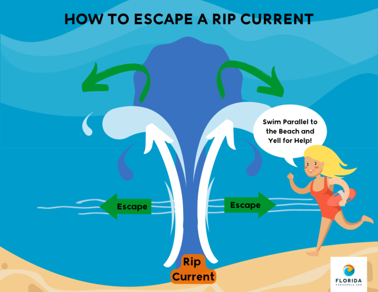 Rip Current Statistics 2023: The Oceans' Hidden Danger