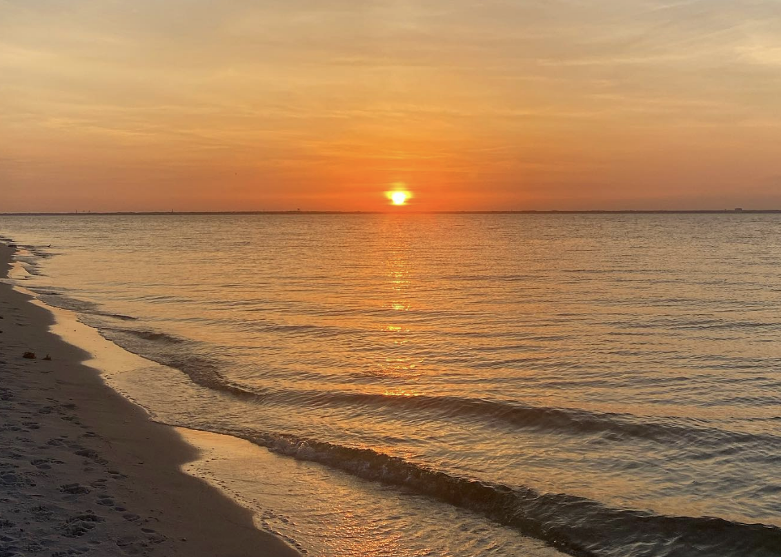 Winter Shelling in Pensacola: How to Find the Best Seashells