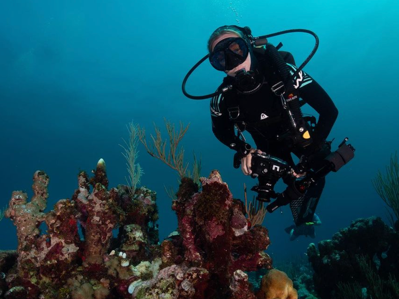 Top Diving Locations and Scuba Outfitters in Panama City Beach, FL